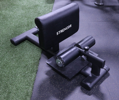 Olympic & Specialty Benches | Free Weights | Fitness Equipment ...